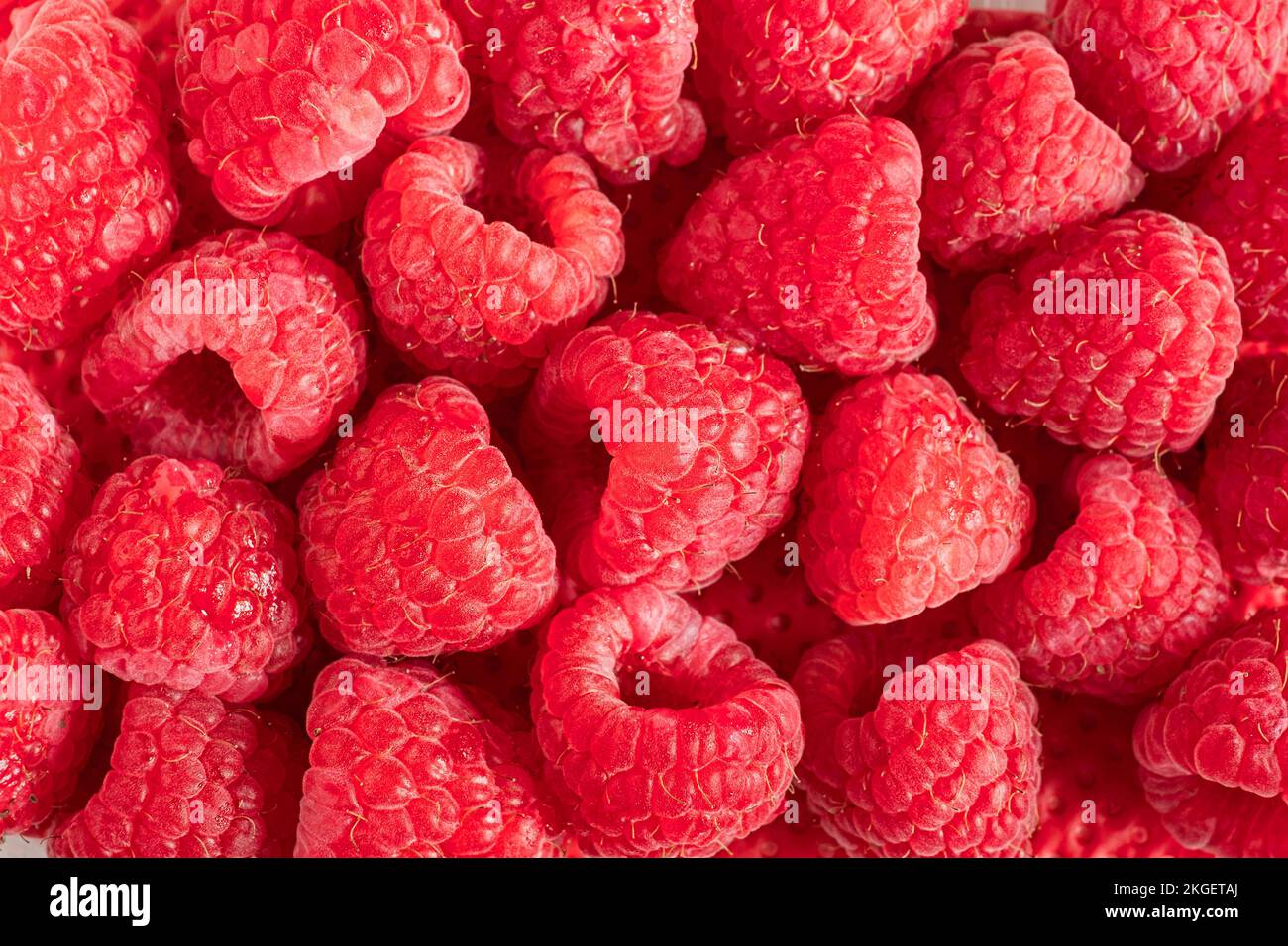 Fresh and sweet raspberries background closeup photo. Ftuit background ...