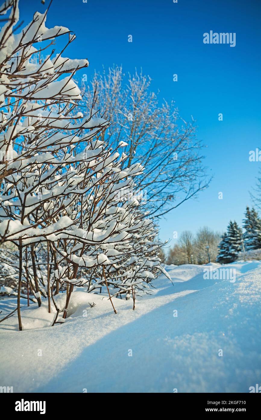 Sowed hi-res stock photography and images - Alamy