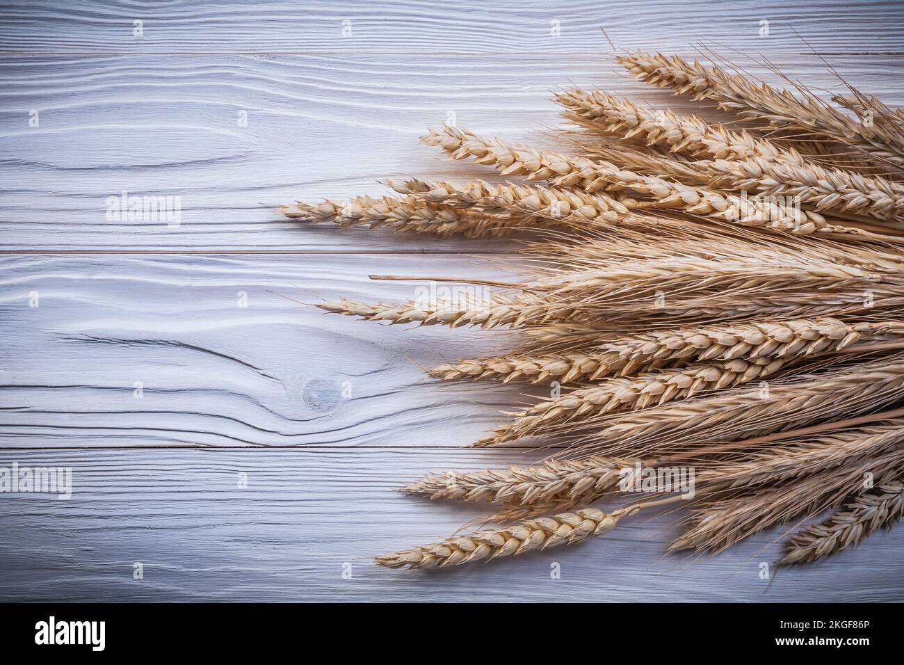 Stack of ripe wheat rye ears on wooden board food and drink concept ...