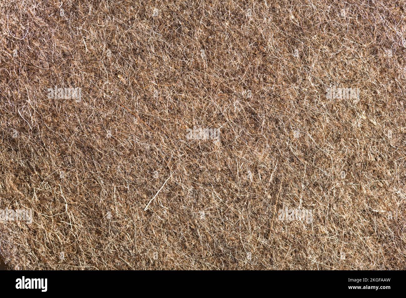 texture of felt Stock Photo - Alamy
