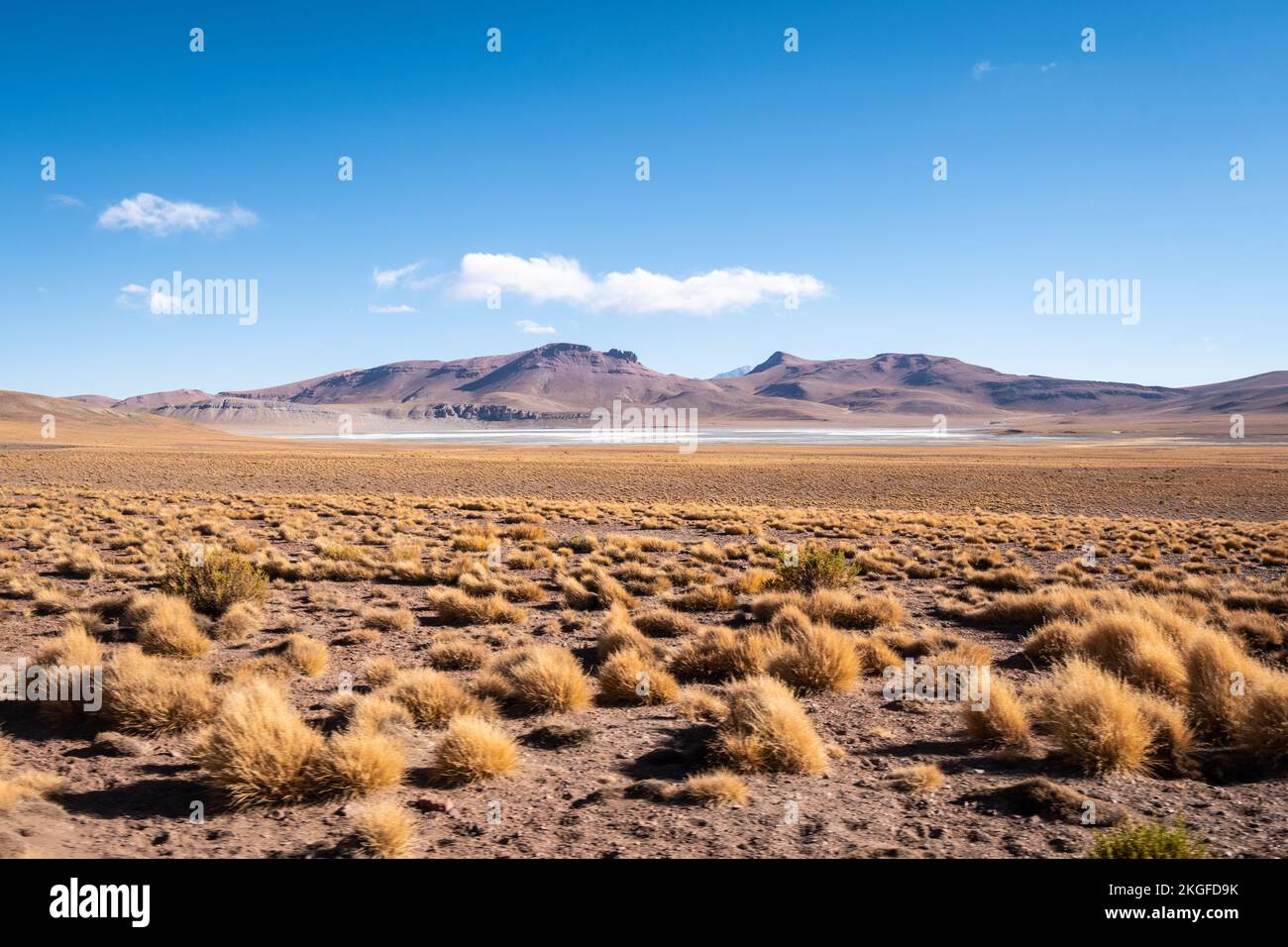 Laguna morejon hi-res stock photography and images - Alamy