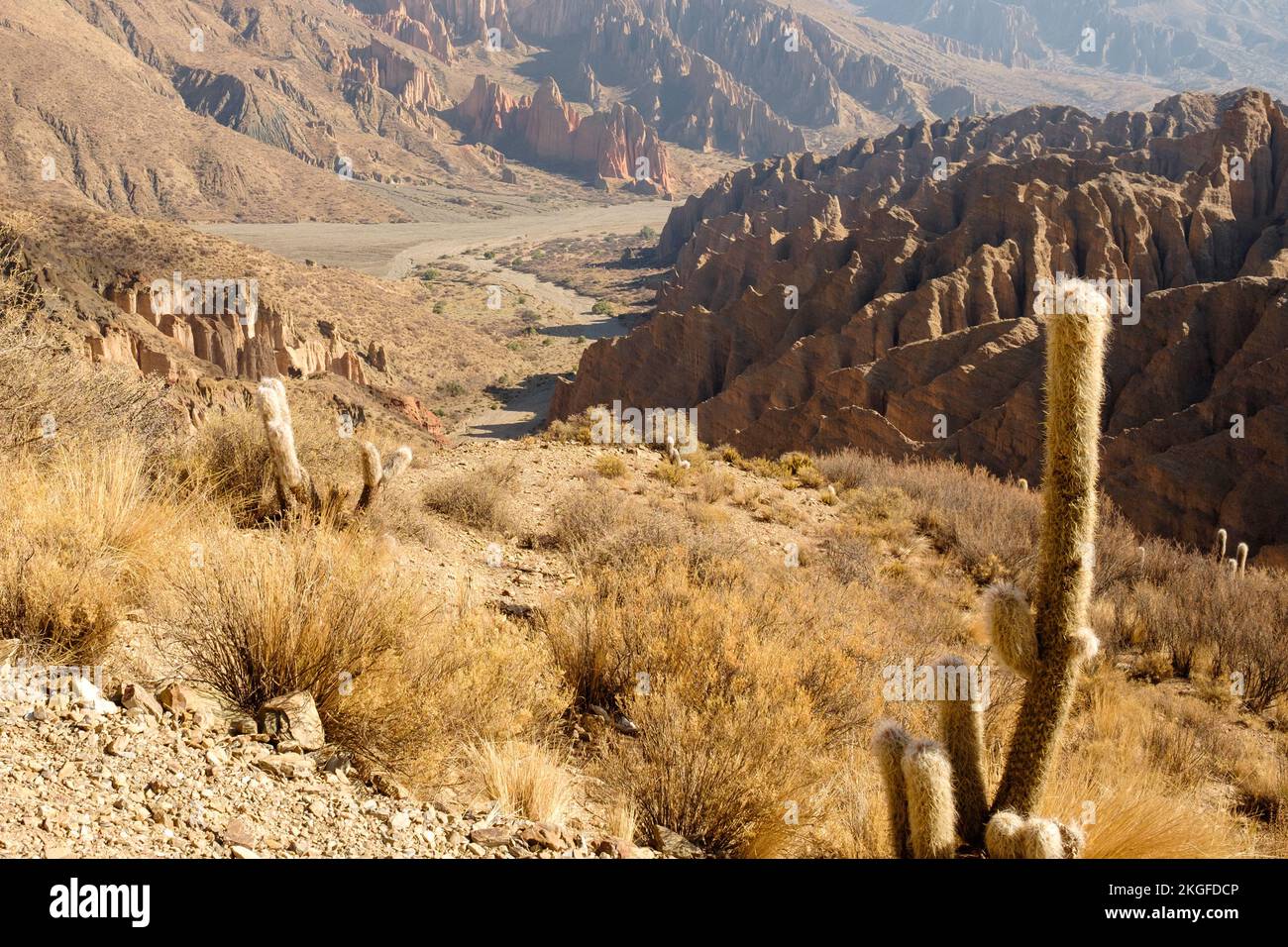 Scenic view of El Sillar landscape, Bolivia Stock Photo - Alamy