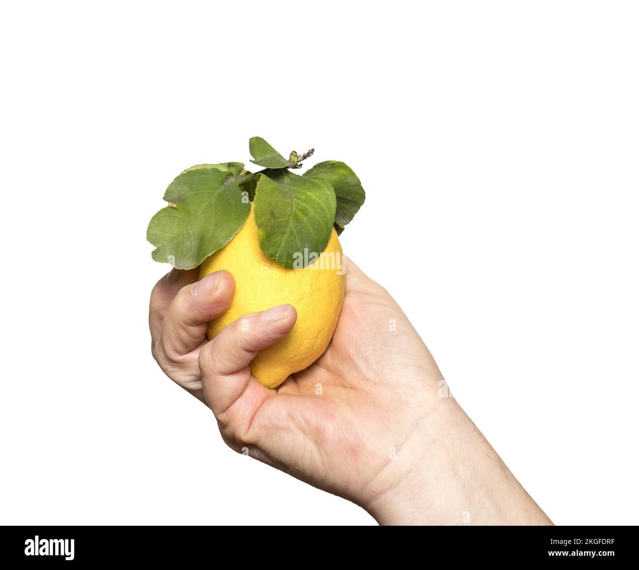 Collection hand drawn transparent Cut Out Stock Images & Pictures - Alamy