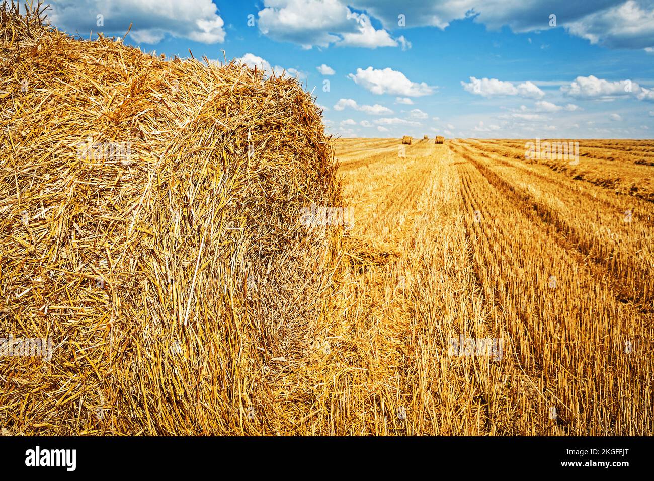 view through bale of straw on harvested field Stock Photo - Alamy