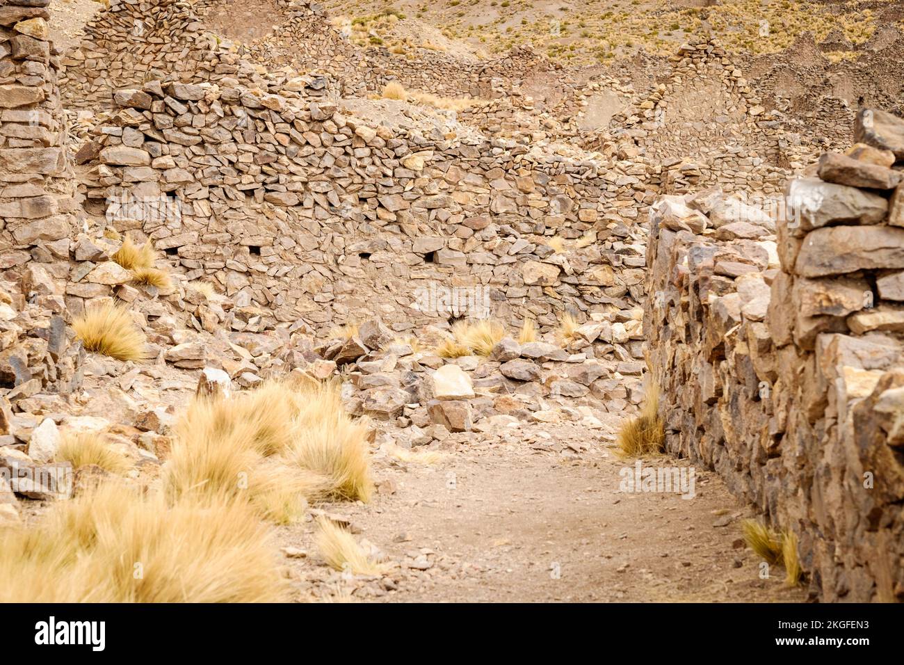 Ruins of the abandoned mining town of San Antonio de Lipez in the ...