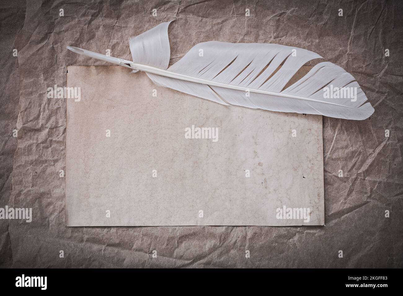 Vintage clean sheet feather on crumpled wrapping paper Stock Photo - Alamy