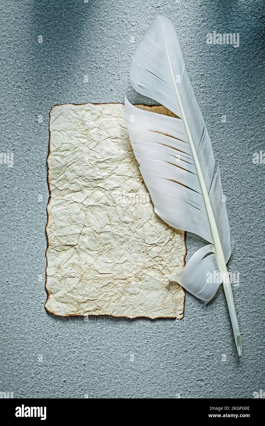 Vintage manuscript quill on grey background Stock Photo - Alamy