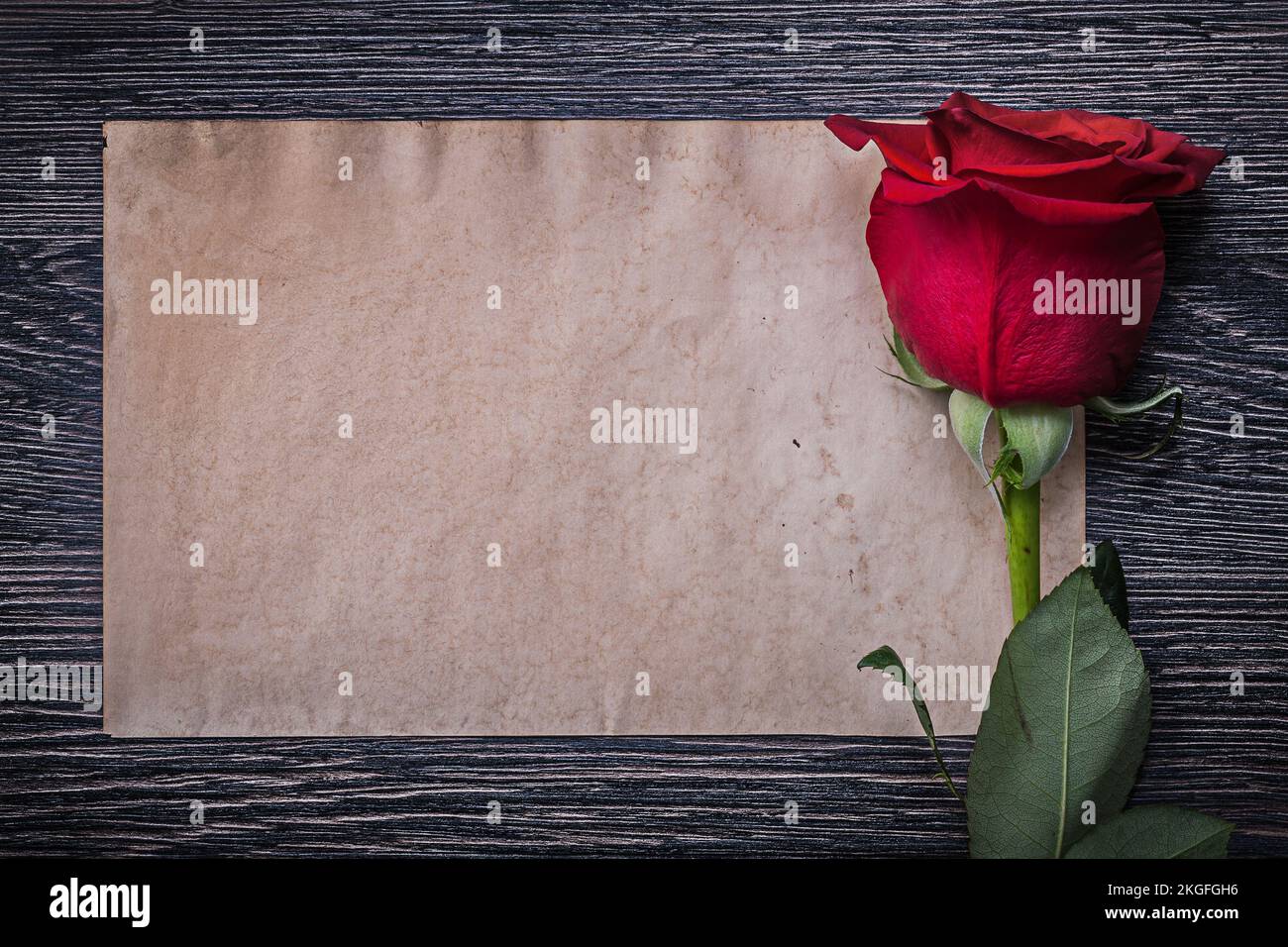 Paper red rose hi-res stock photography and images - Alamy