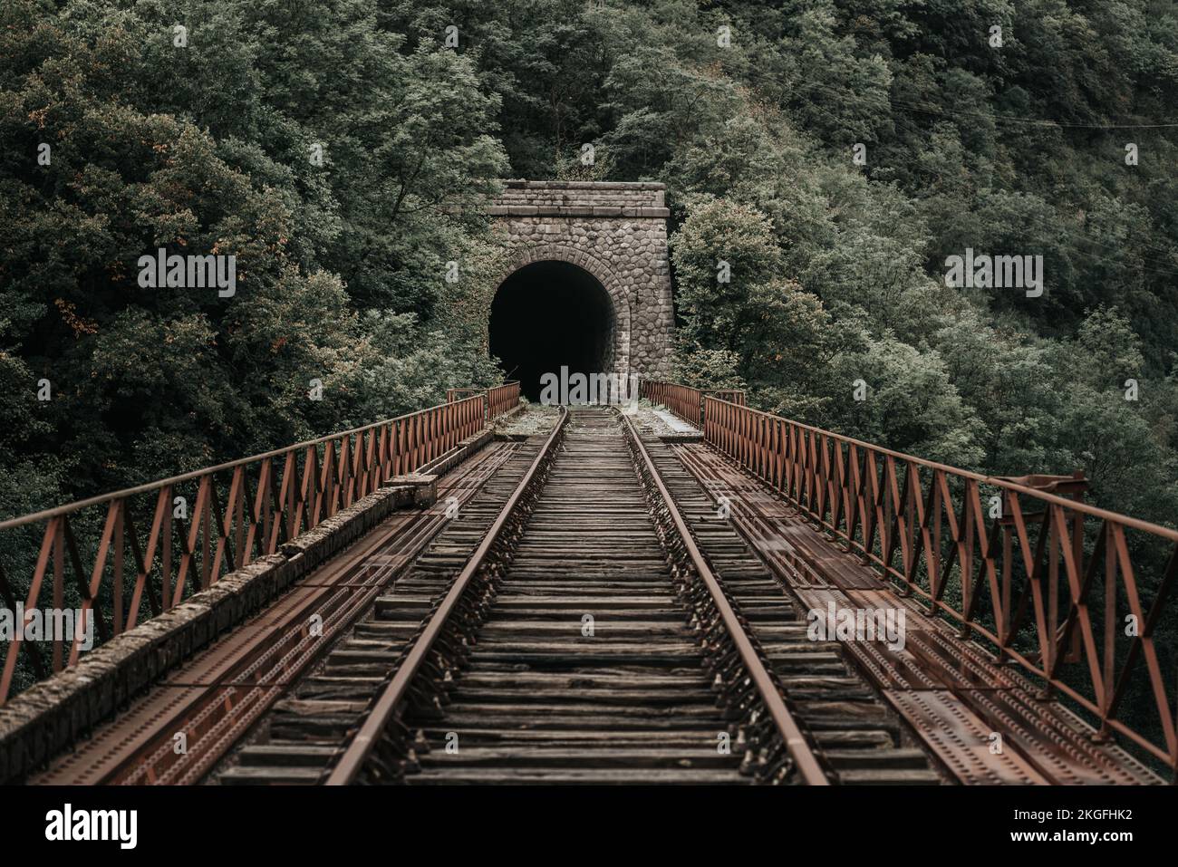 Rusty train tracks lead into a dark tunnel in a desaturated landscape ...