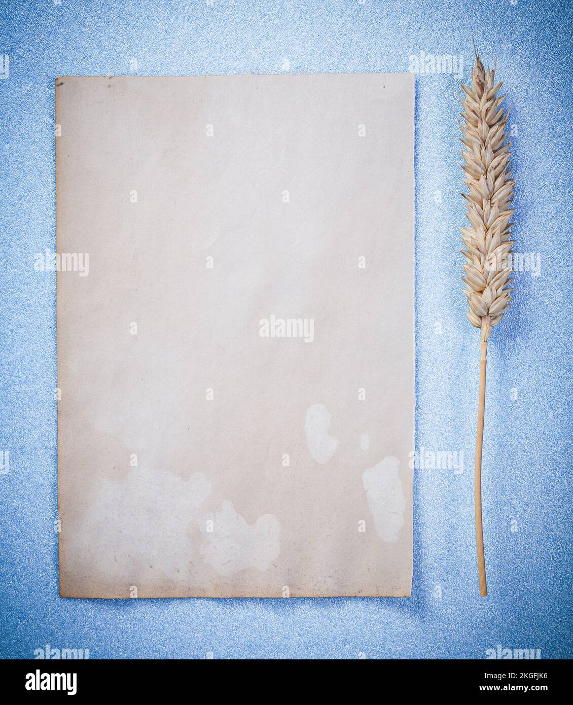 Wheat ears vintage paper sheet on blue background vertical image Stock ...