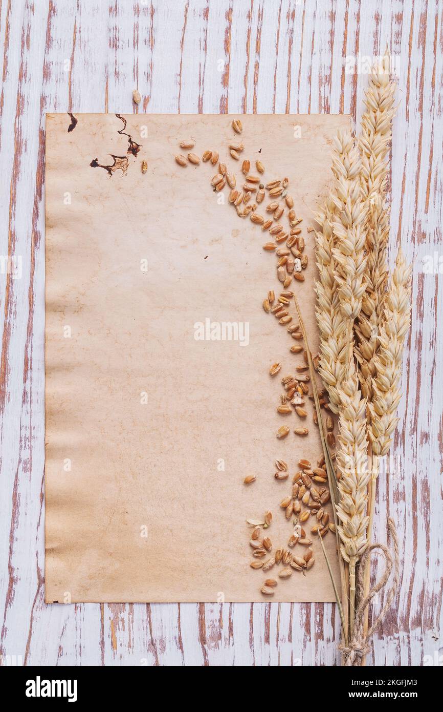 wheat ears and corns on sheet of paper old wooden board with copyspace ...