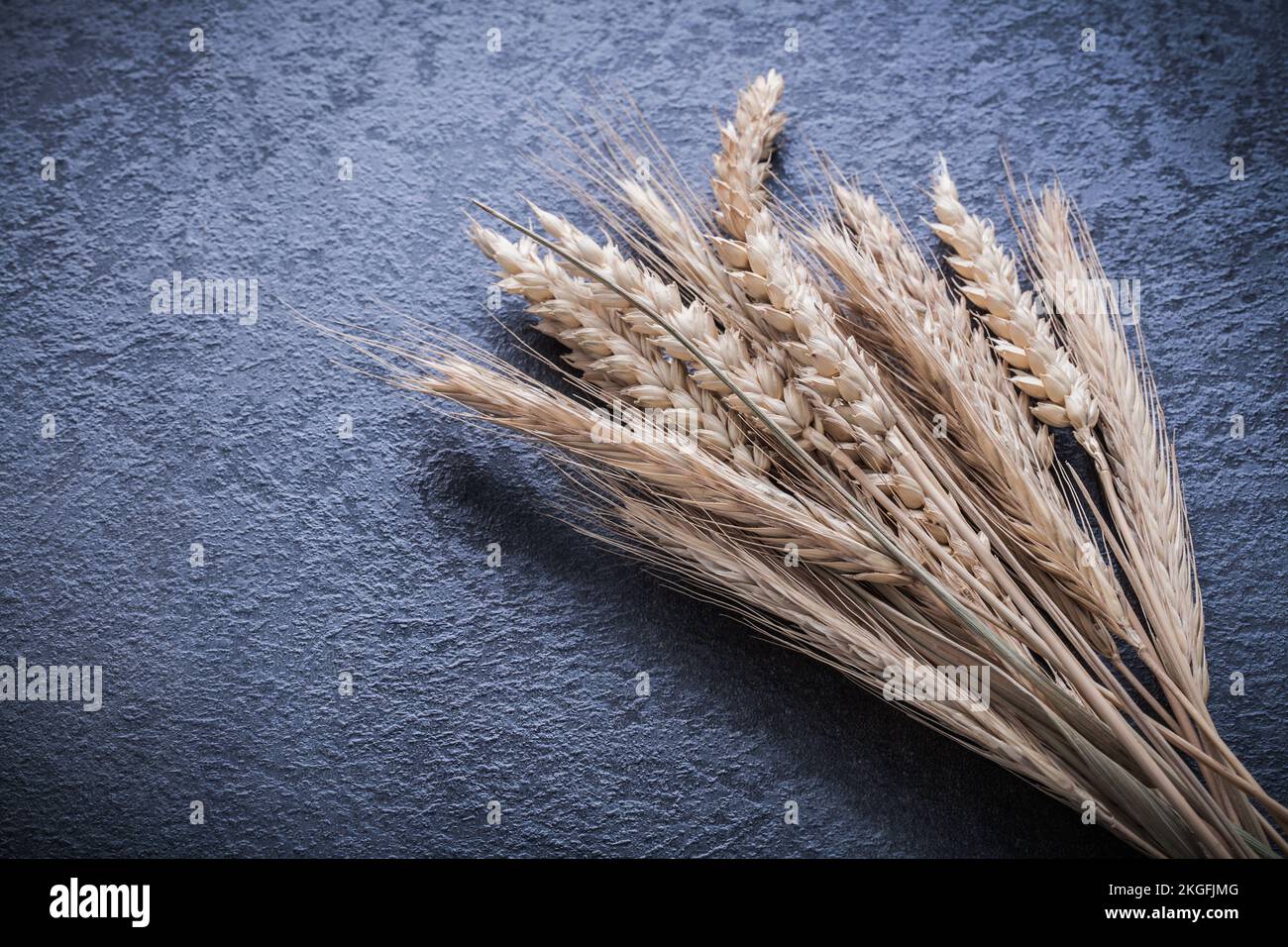 Wheat rye ears on black background food and drink concept Stock Photo ...