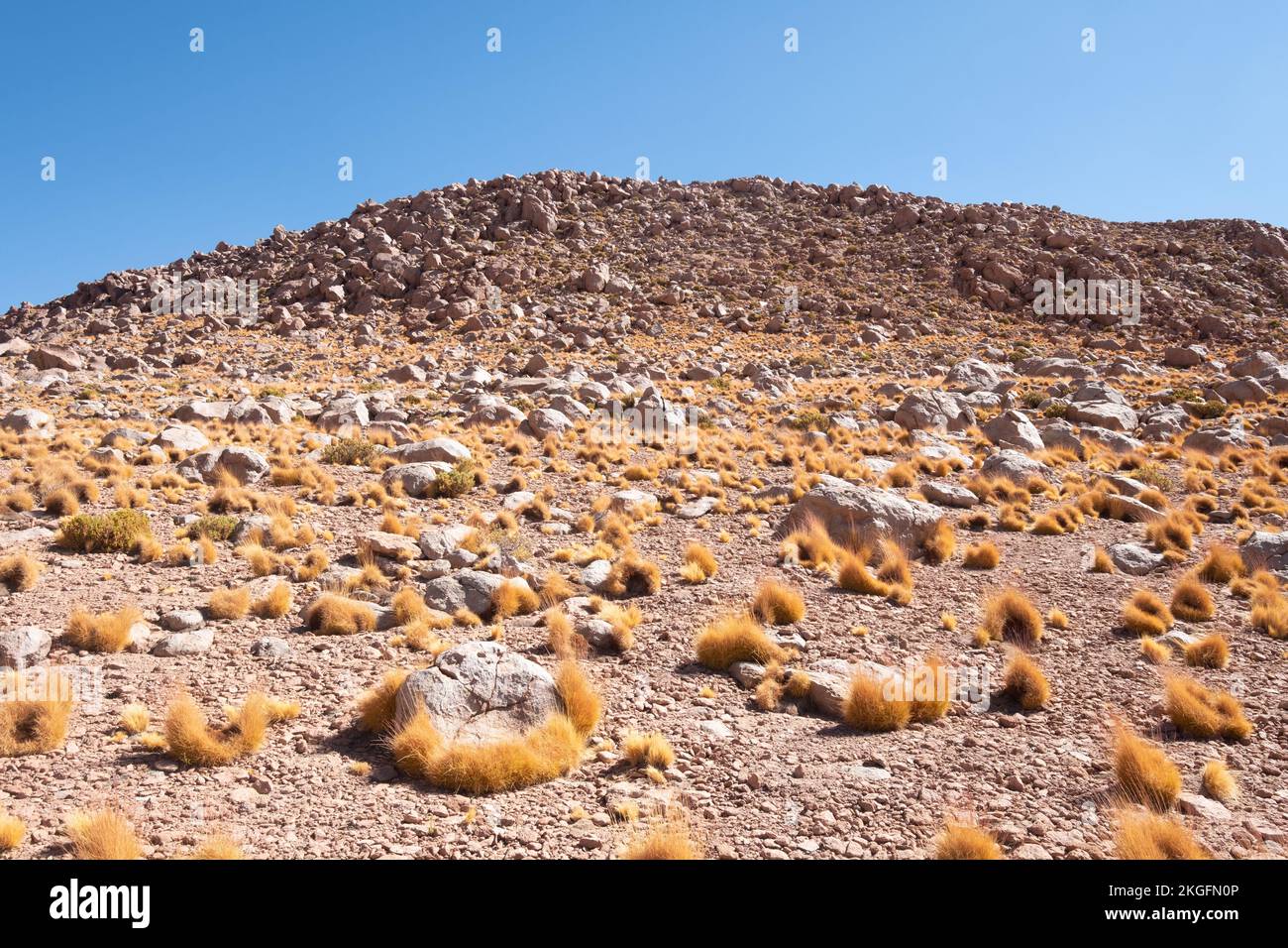 Bolivian High Plains landscape in Eduardo Avaroa Andean Fauna National ...