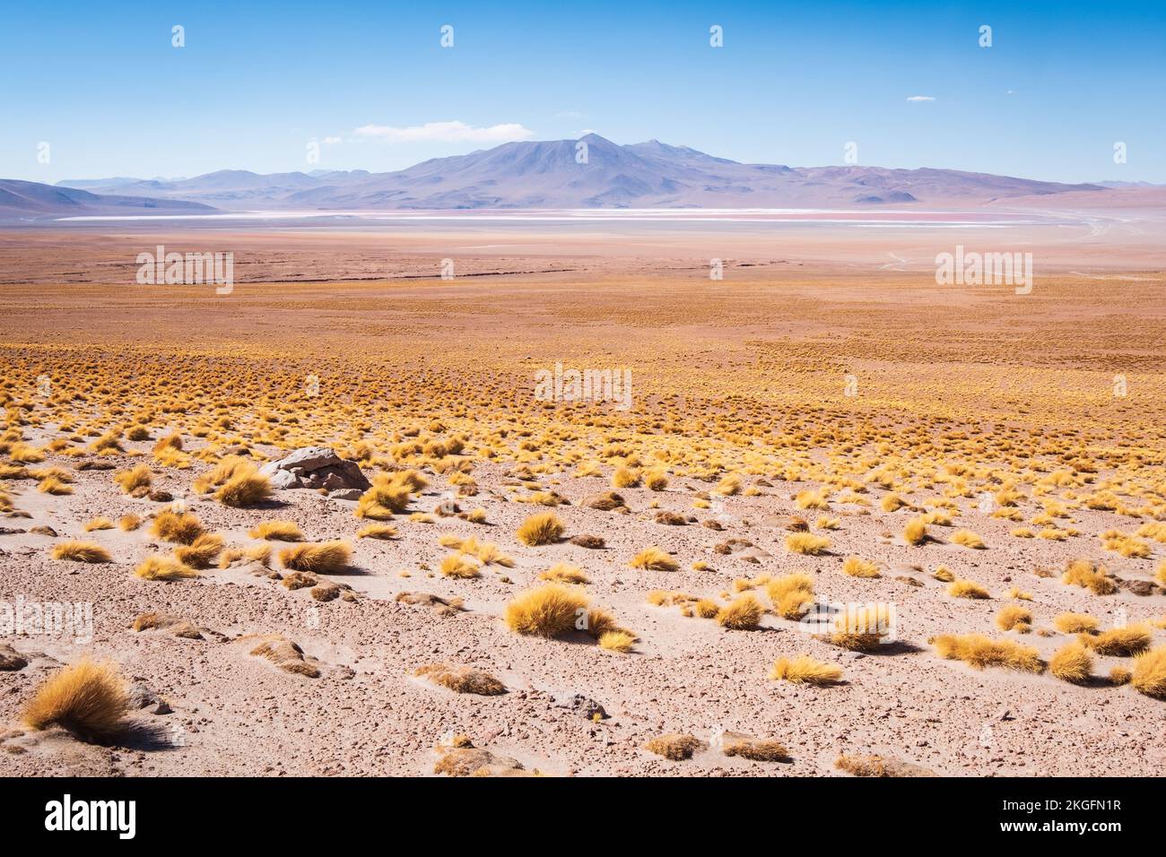 Bolivian High Plains landscape with the Laguna Colorada in the ...
