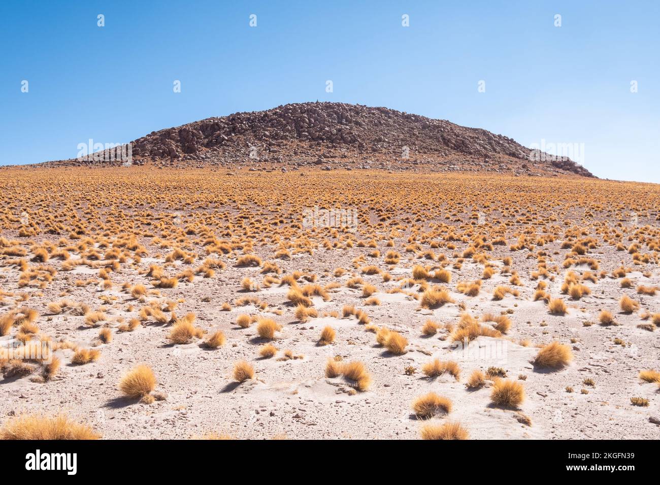 Bolivian High Plains landscape in Eduardo Avaroa Andean Fauna National ...