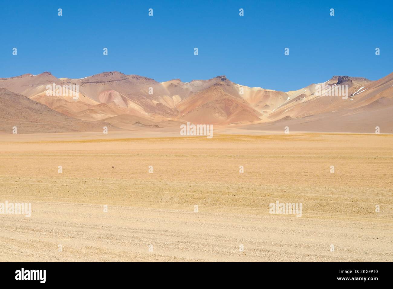 High Plains landscape at Eduardo Avaroa Andean Fauna National Reserve ...
