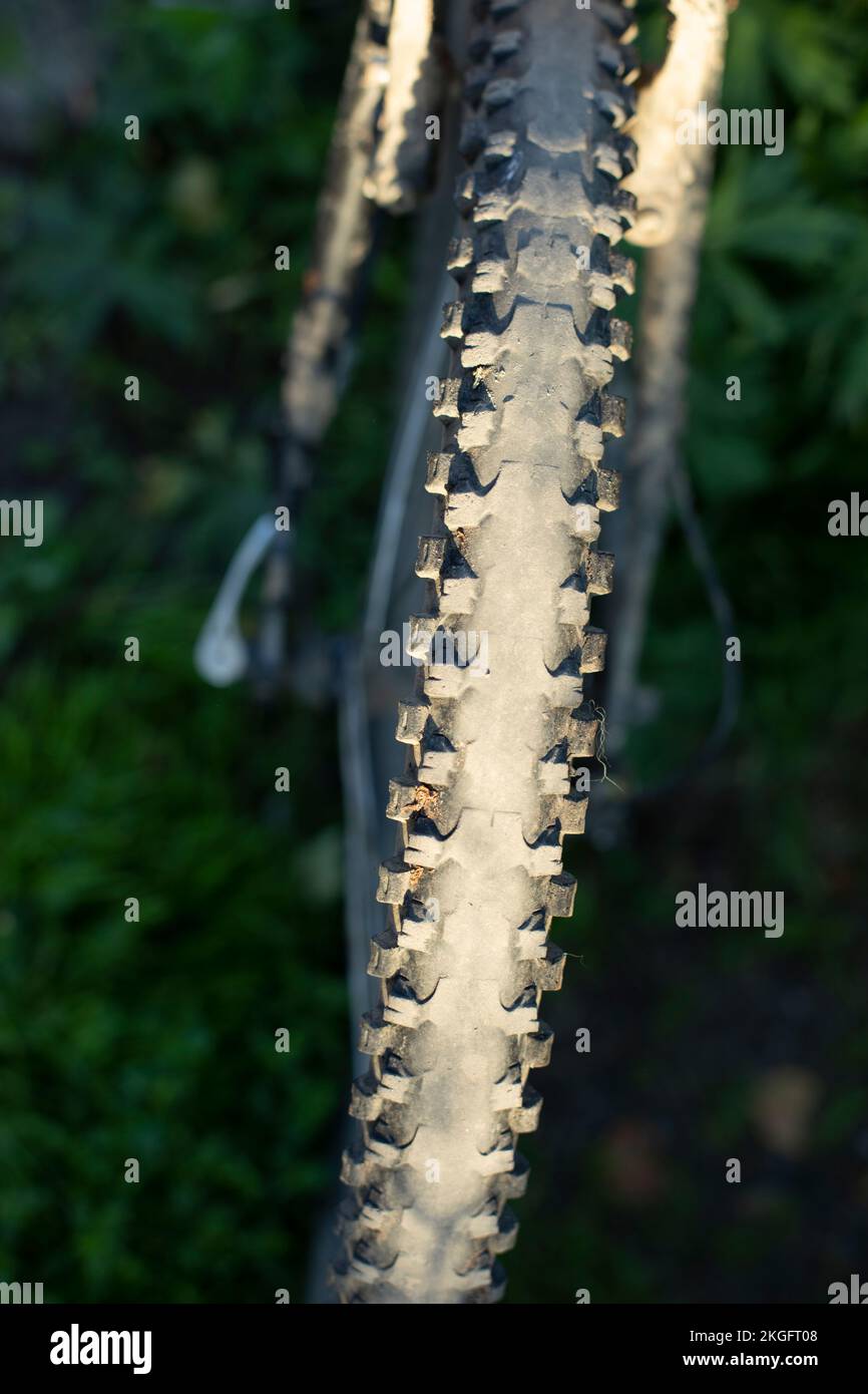 Bicycle wheel. Wheel protector. Rubber tire. Details of bike Stock ...