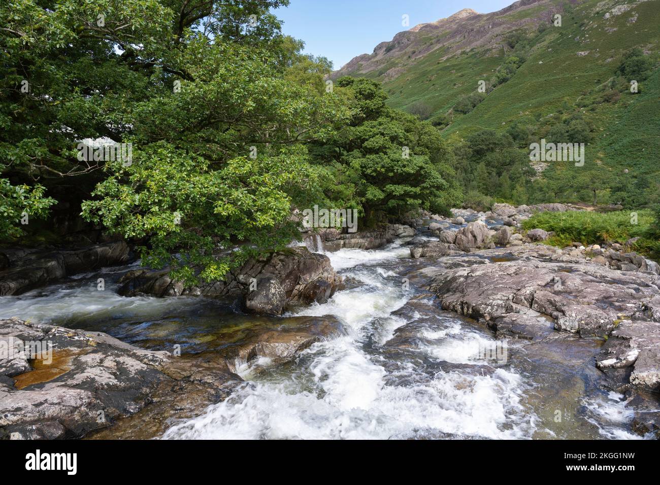 Galleny Force, Borrowdale, The Lake District, Cumbria, England Stock ...