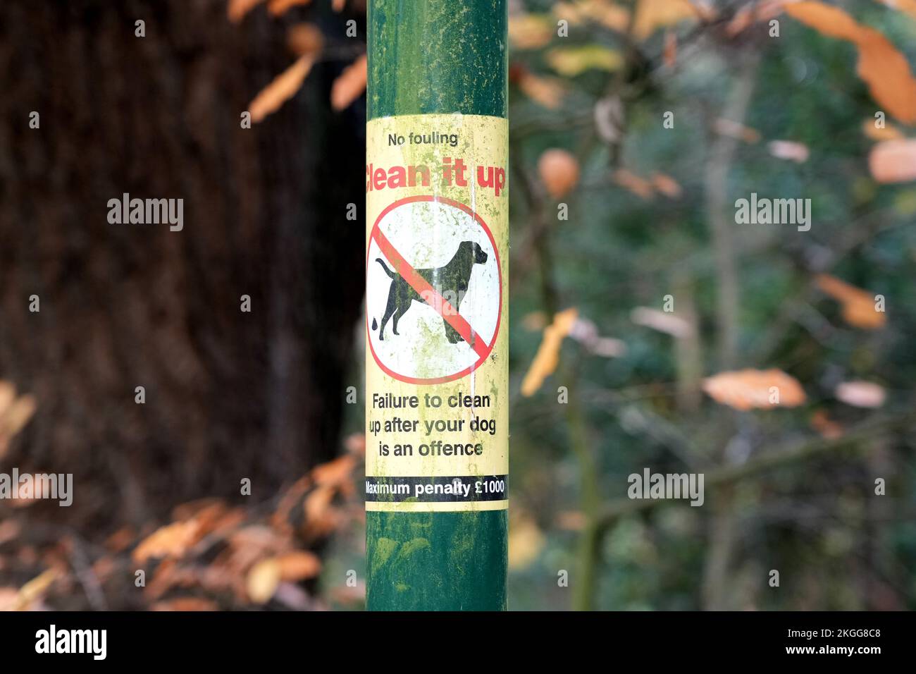 Anti dog fouling sign Stock Photo - Alamy
