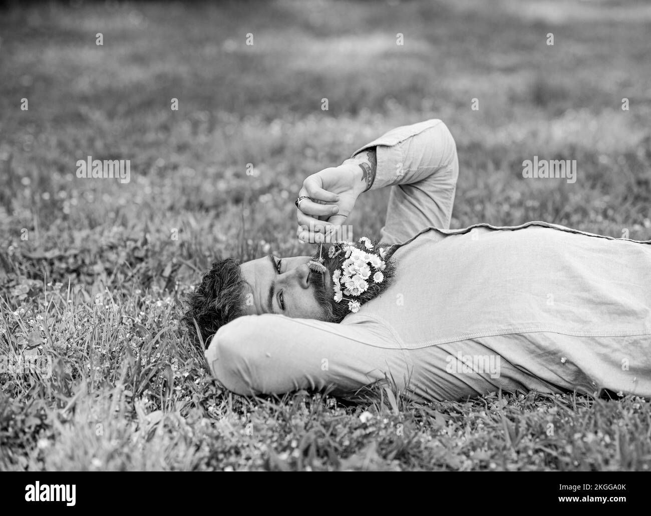 Man with beard on calm face sniffs dandelion. Guy with bouquet of ...