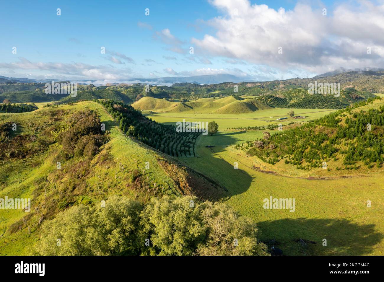 An aerial view of a beautiful farmland bush scene close to Kawerau, New ...
