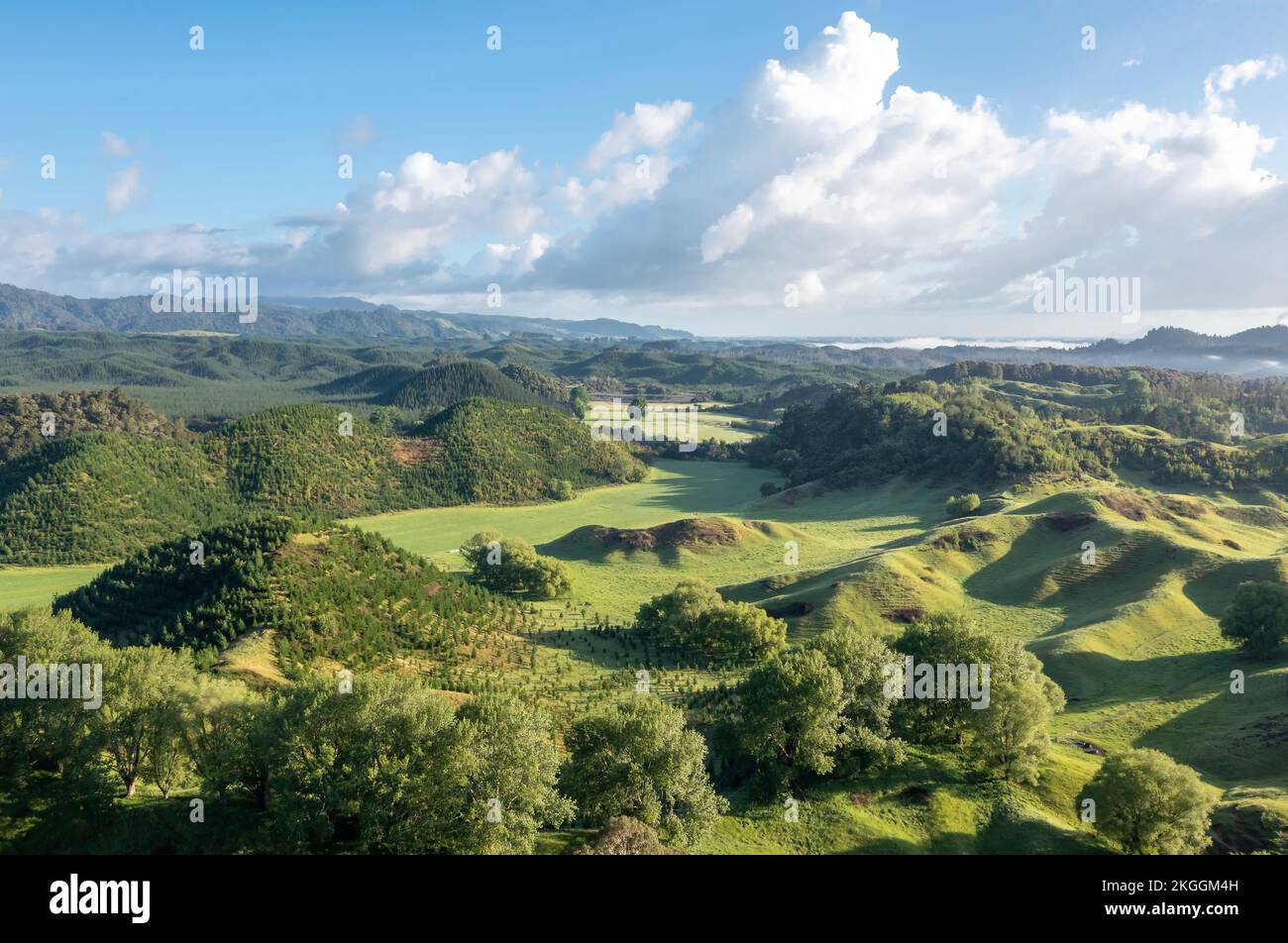 An aerial view of a beautiful farmland bush scene close to Kawerau, New ...