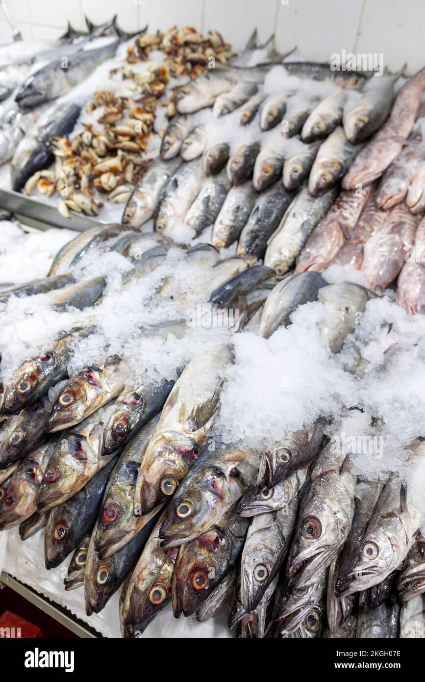 Selection of fish and seafood at the Central Market (Mercado Central ...