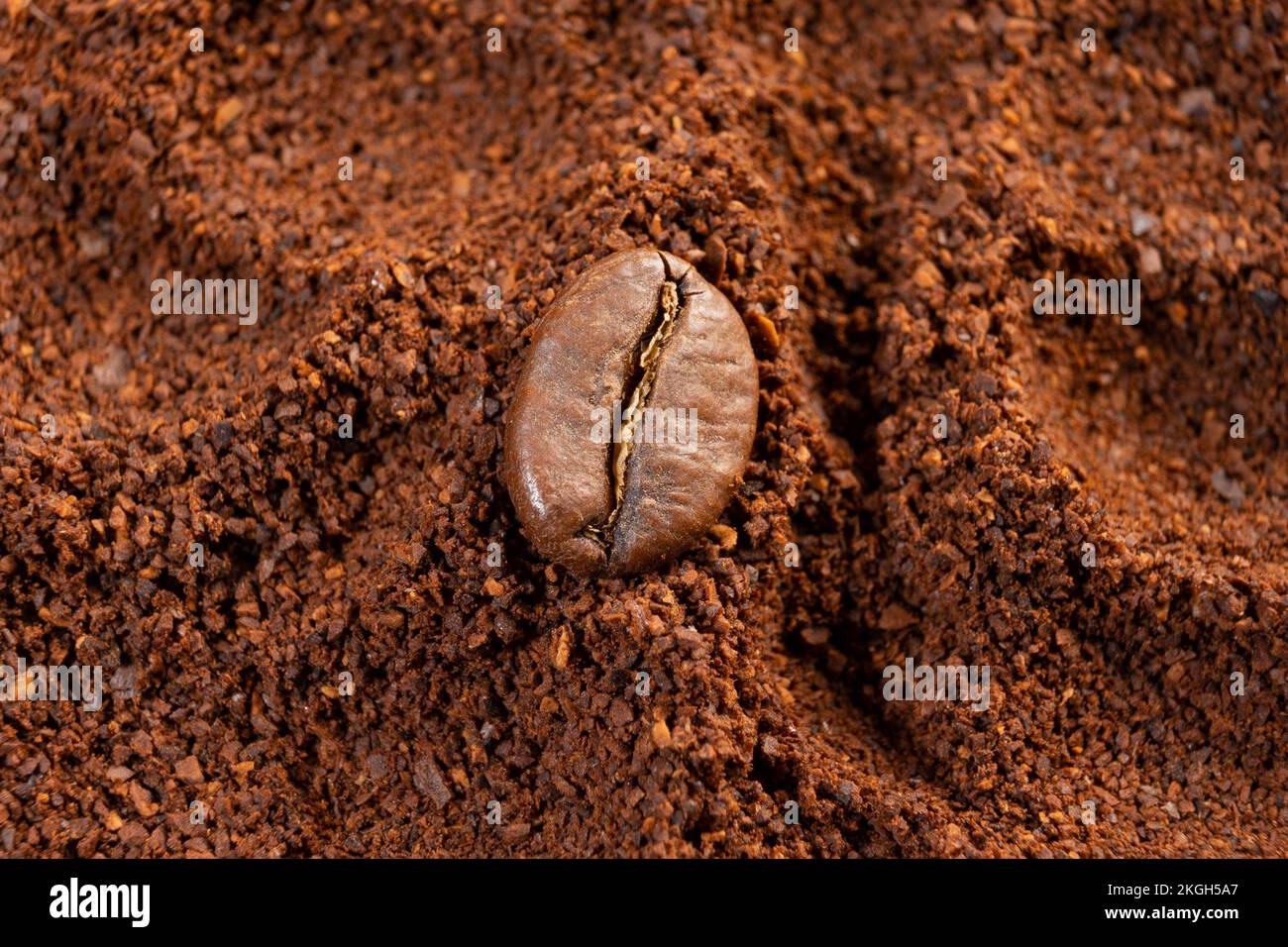 Ground coffee ready for brewing, top view of coffee, one bean lying on ...