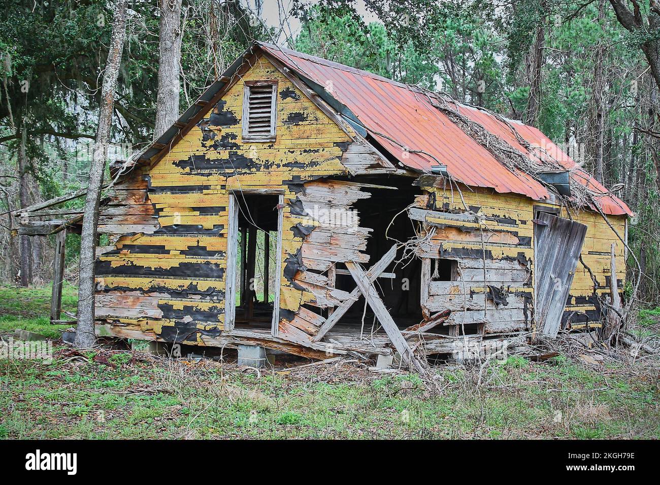 A wooden cabin without a door falling apart from old age in a forest ...