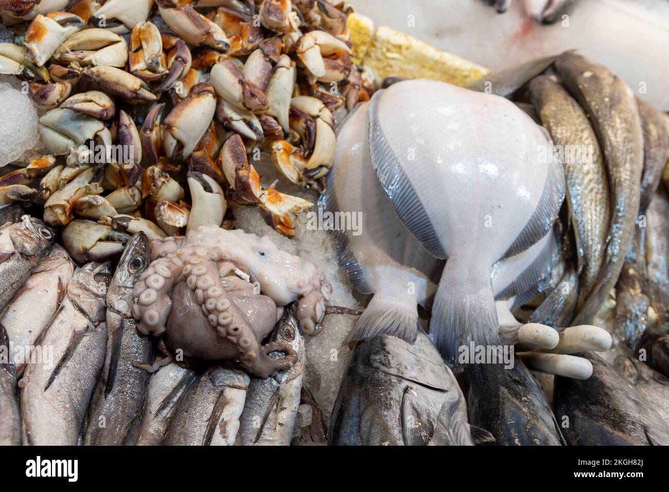 Selection of fish and seafood at the Central Market (Mercado Central ...
