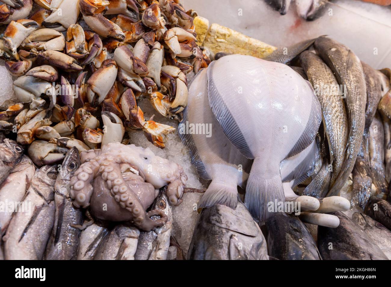 Selection of fish and seafood at the Central Market (Mercado Central ...