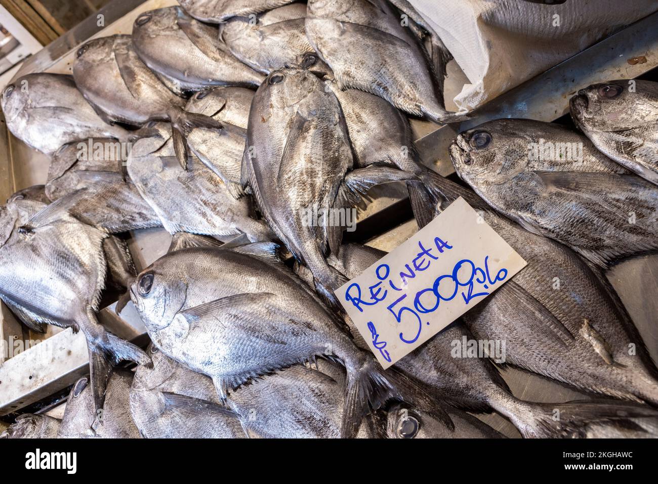 Fresh fish at the Central Market (Mercado Central) in Santiago de Chile ...