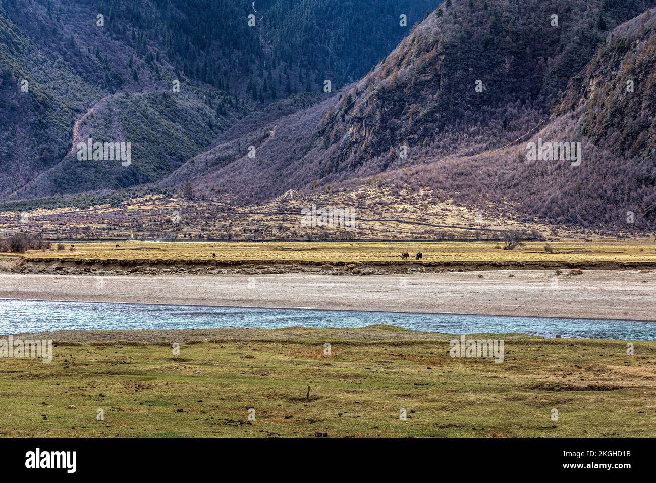 A beautiful shot of the Zhula river in National Wetland Park in Tibet ...