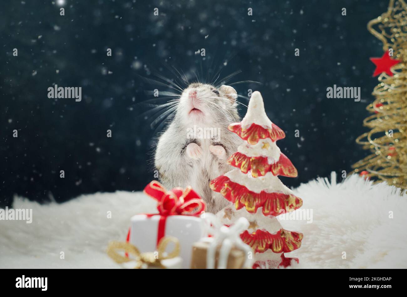 Funny hamster with Christmas decorations on a winter snowcovered ...