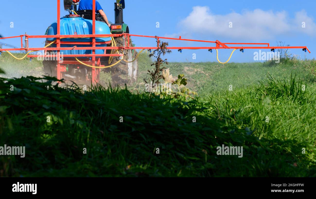 A small agricultural tractor is treating the field with herbicides against weeds, autumn ...