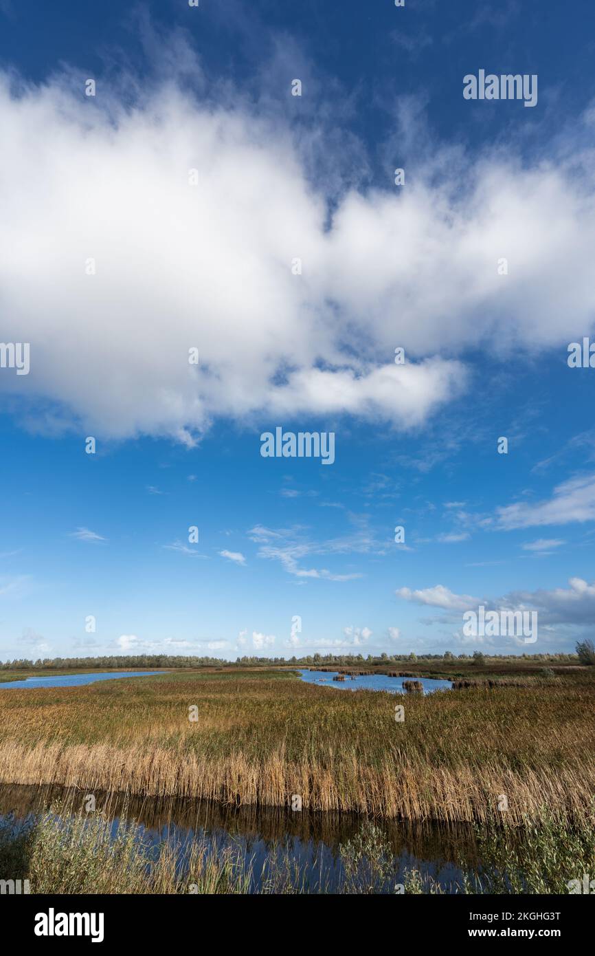 landscape in the North of the Netherlands Stock Photo - Alamy