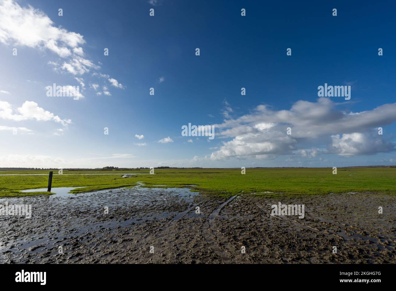 landscape in the North of the Netherlands Stock Photo - Alamy