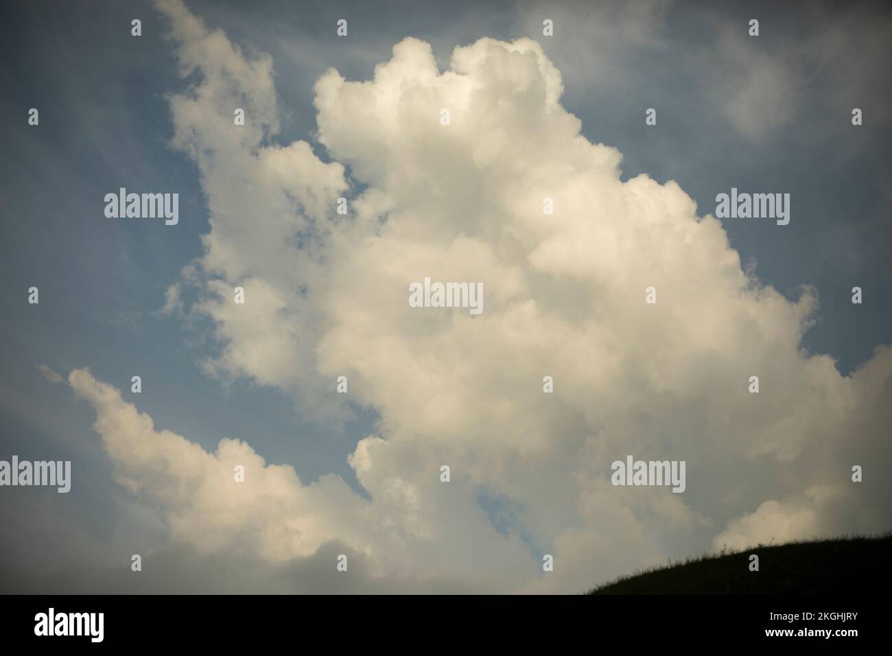 Pollen in atmosphere hi-res stock photography and images - Alamy