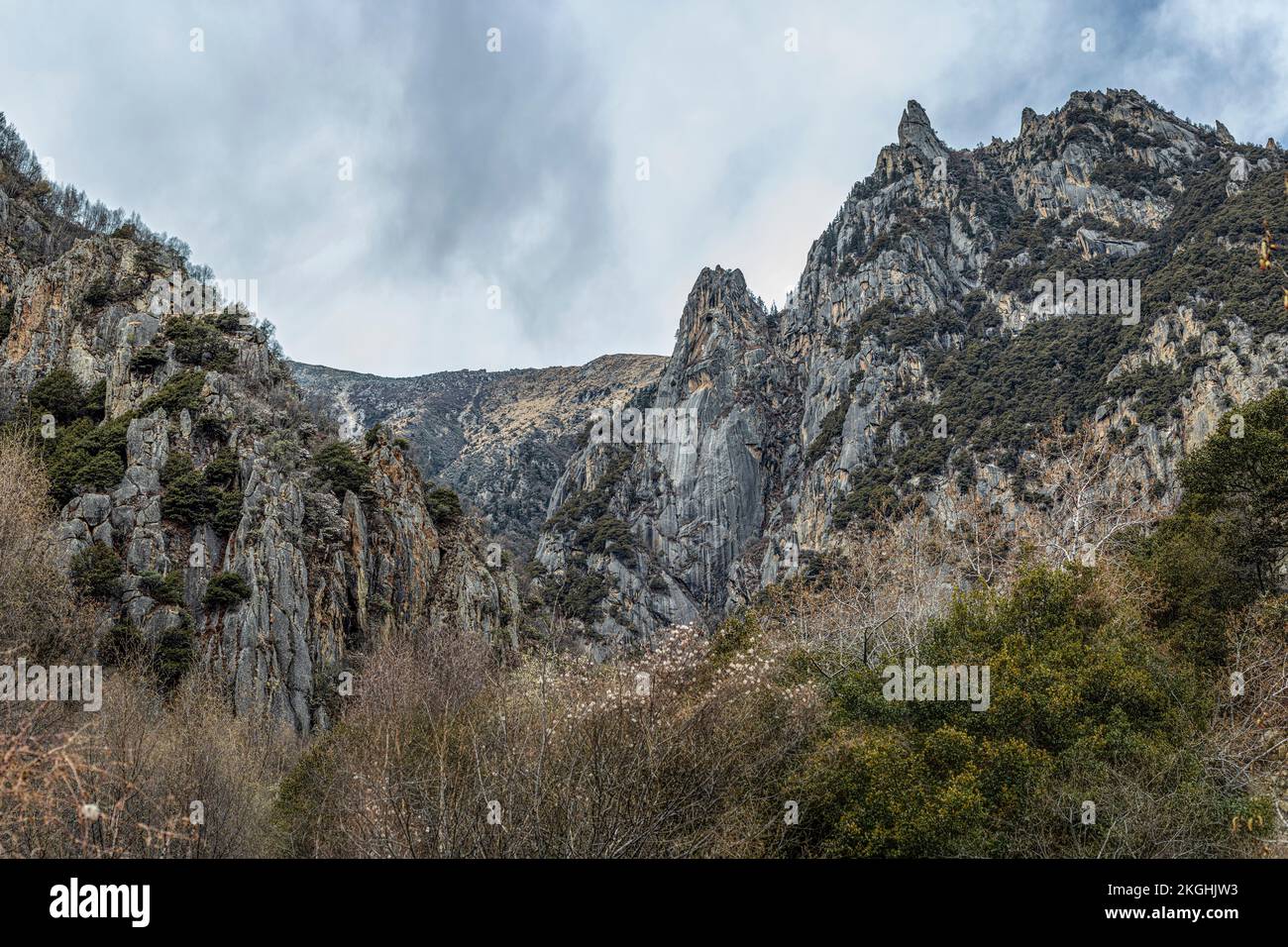 A landscape steep rocky peaks with green trees in Tibet Stock Photo - Alamy
