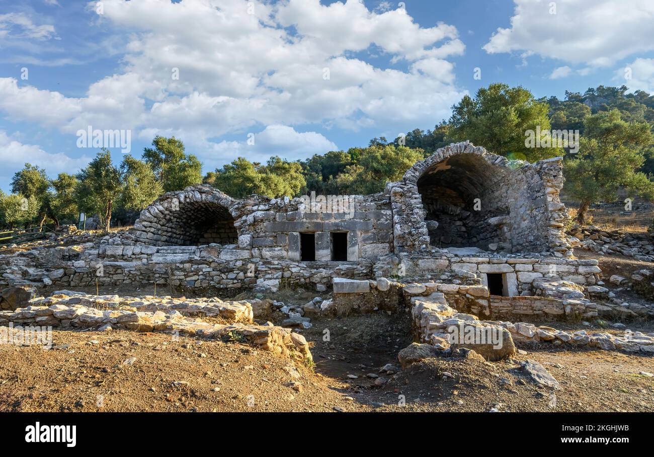 The Temple of Zeus Lepsinos at Euromos Ruins in Milas, Mugla, Turkey ...