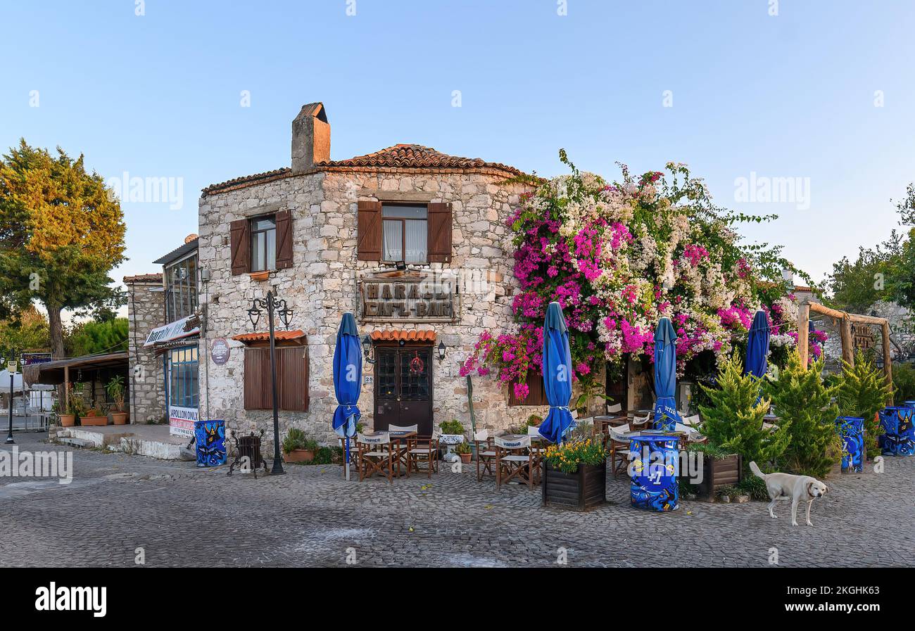 Didim, Turkey. A beautiful old house covered with pink and white ...