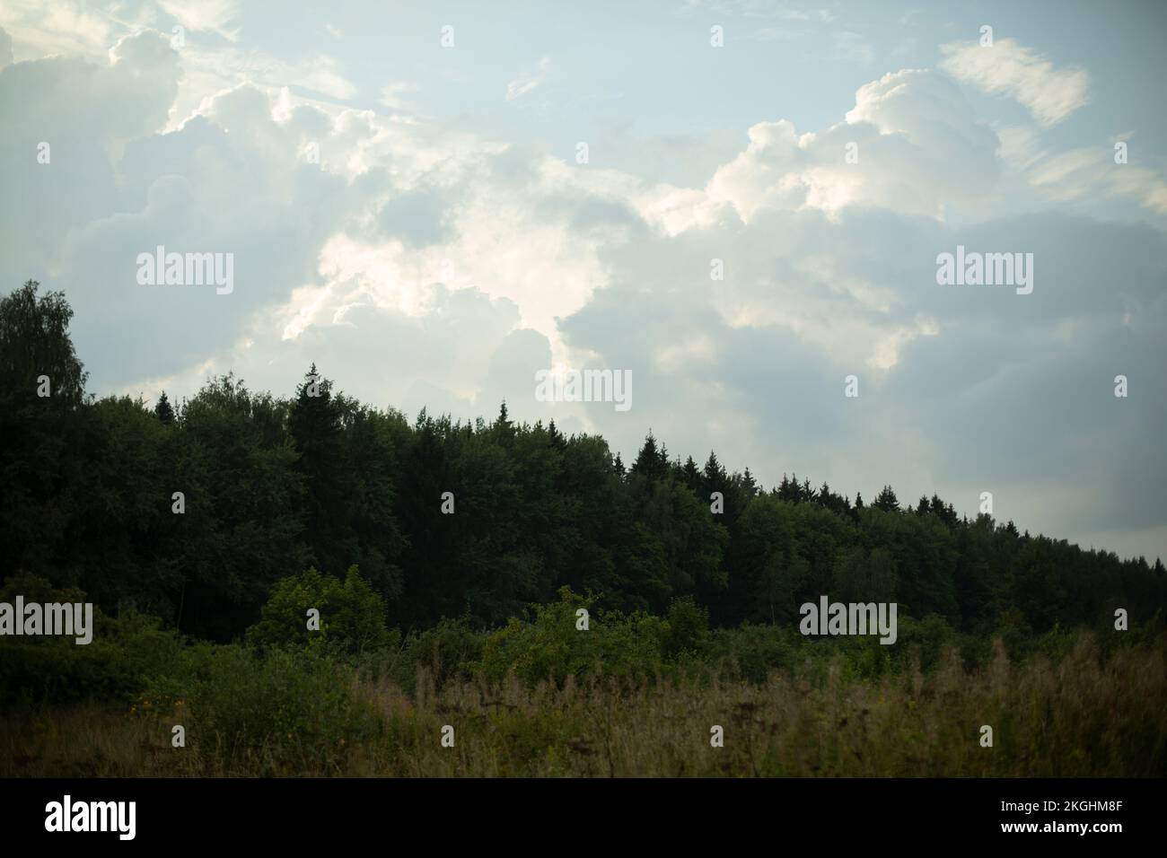 Pollen in atmosphere hi-res stock photography and images - Alamy