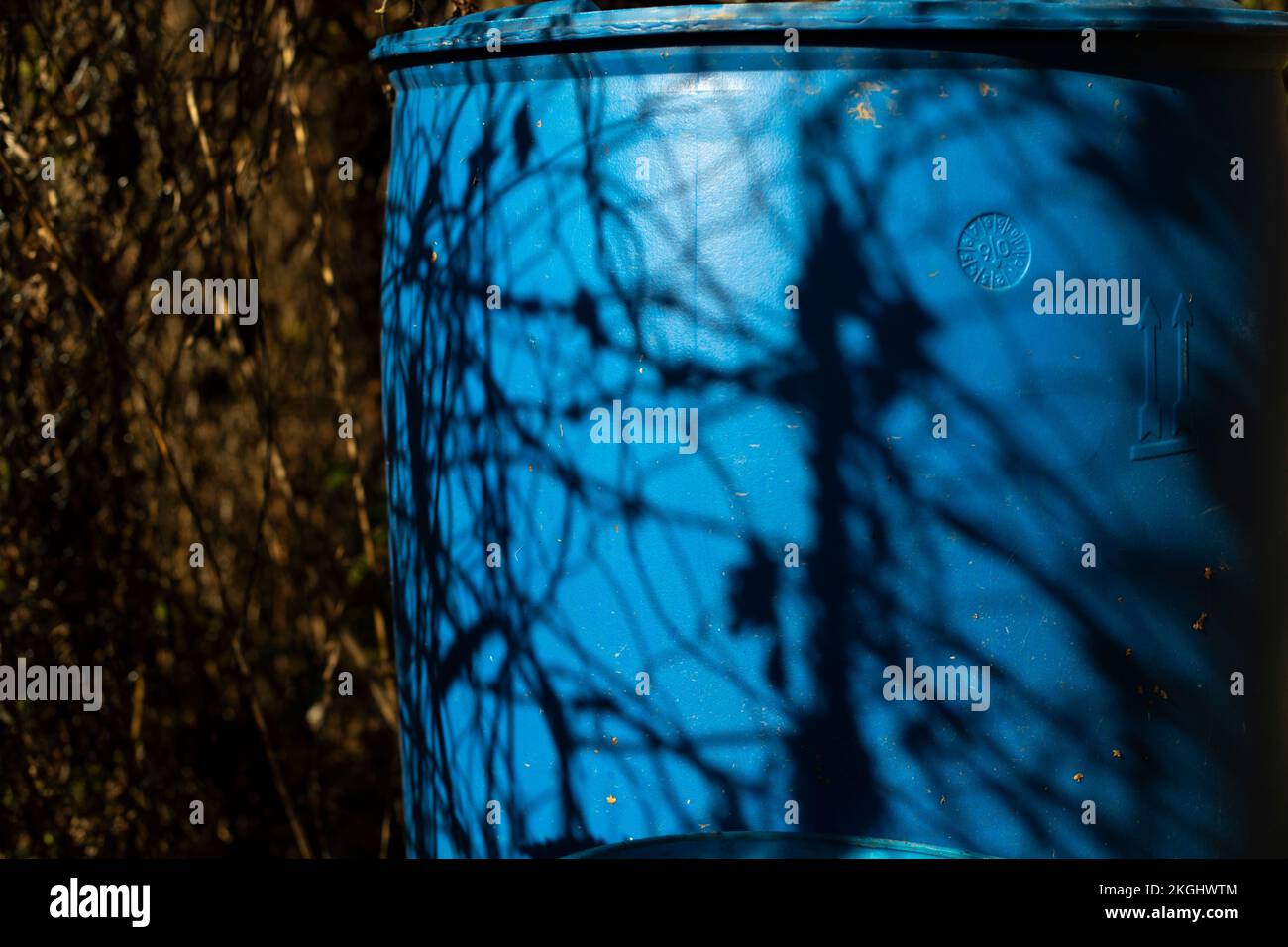Blue water barrel in garden. Blue barrel and shade from plants. Plastic ...