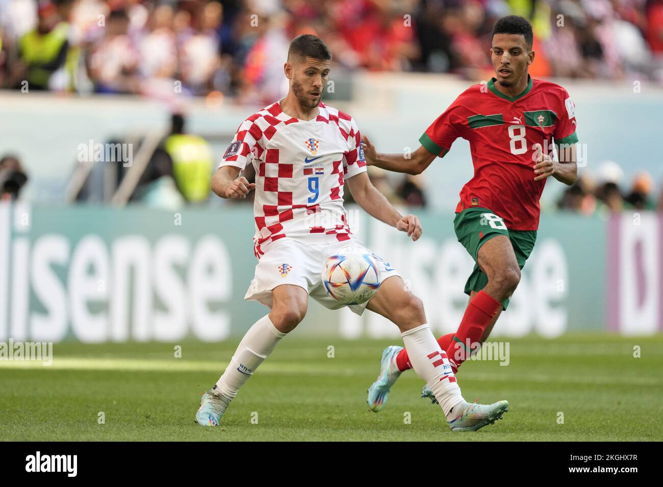 AL KHOR, 23-11-2022 Al Bayt Stadium, World Cup 2022 in Qatar game ...