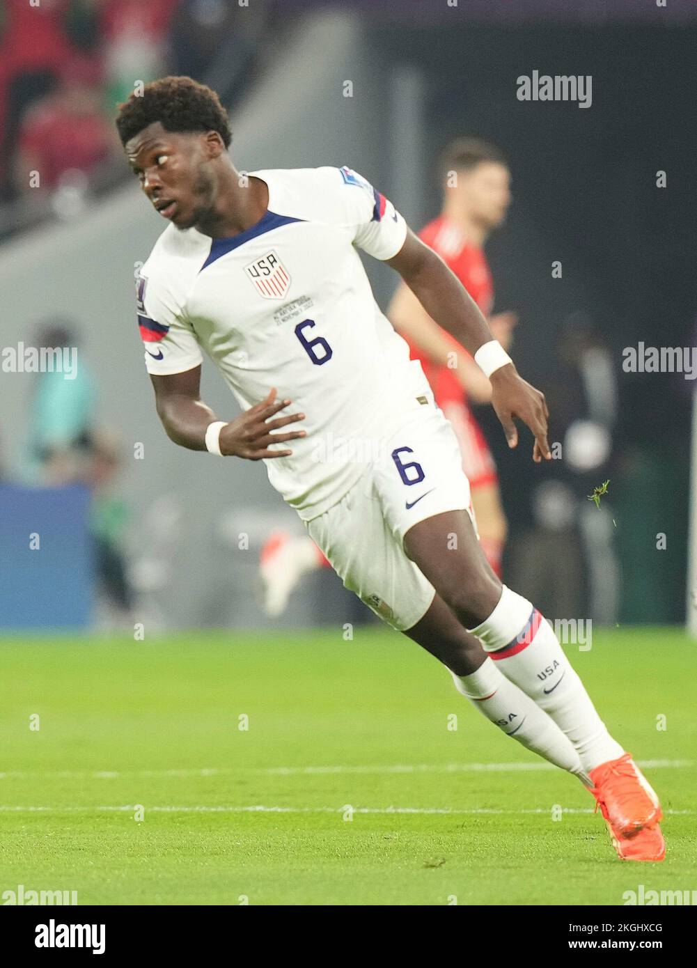 Doha, Qatar, 11/21/2022, Ahmad bin Ali Stadium, Doha, QAT, World Cup ...