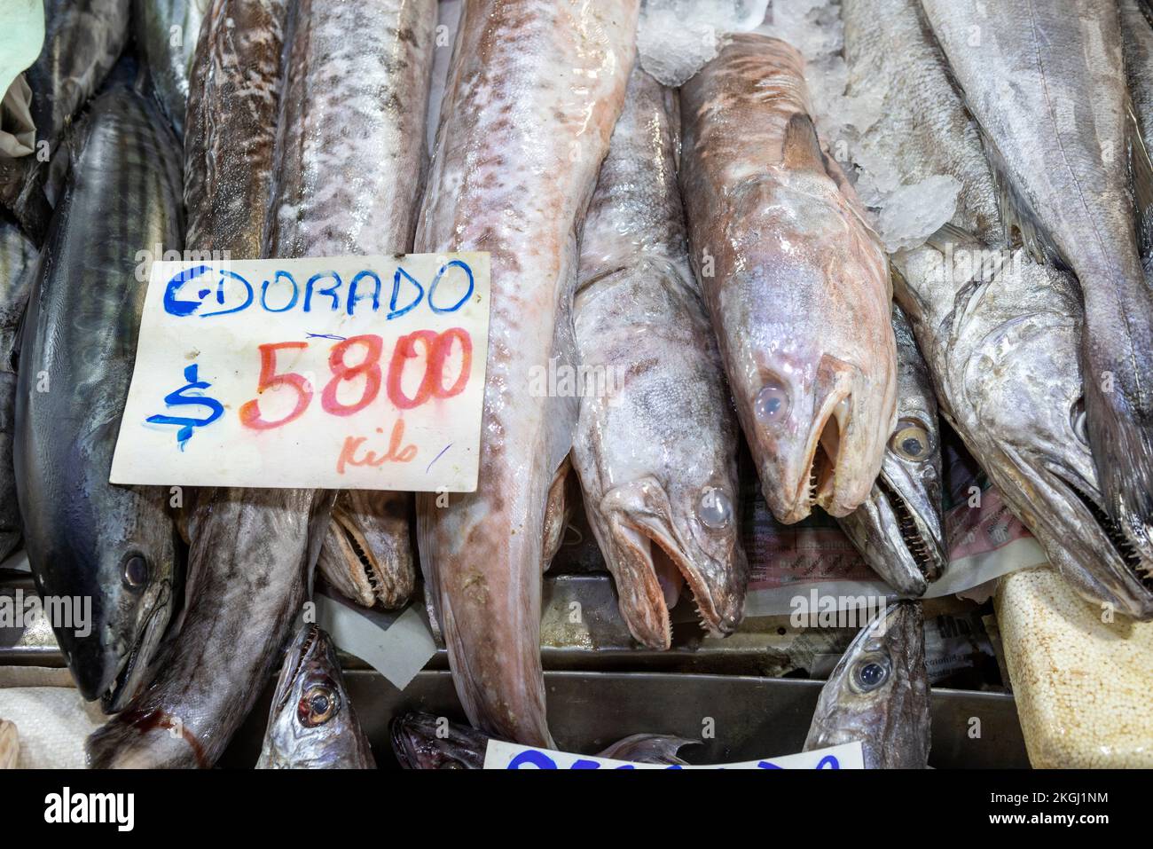 Fresh fish at the Central Market (Mercado Central) in Santiago de Chile ...