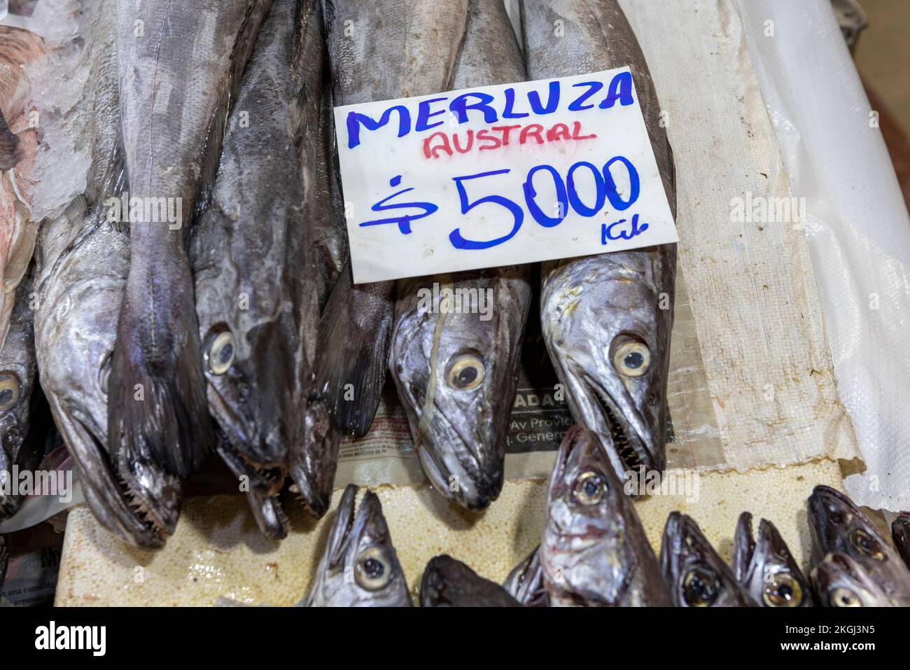 Fresh fish at the Central Market (Mercado Central) in Santiago de Chile ...