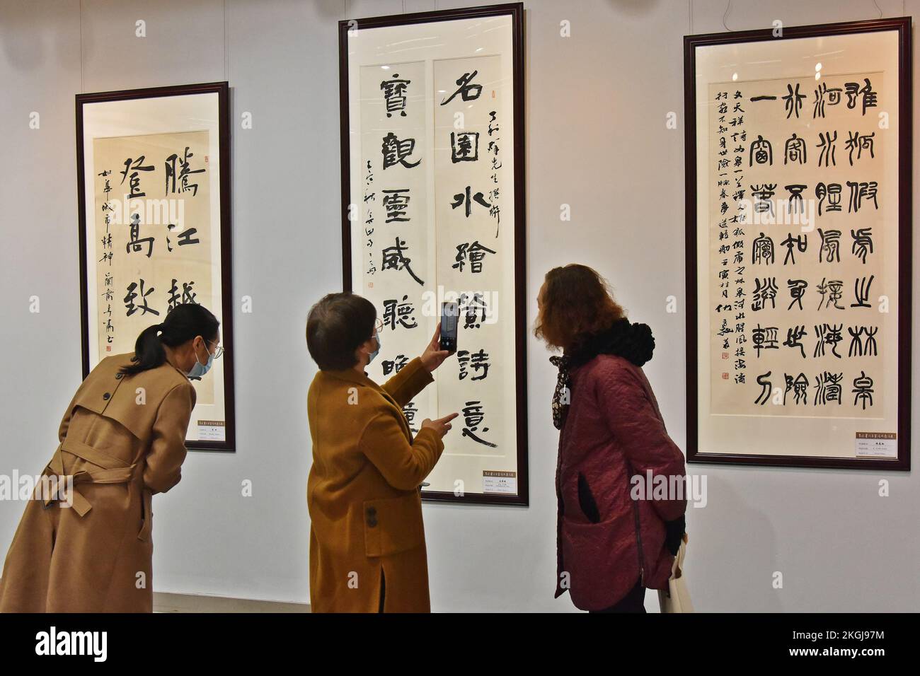 Visitors are appreciating the Chinese calligraphy works in the National ...