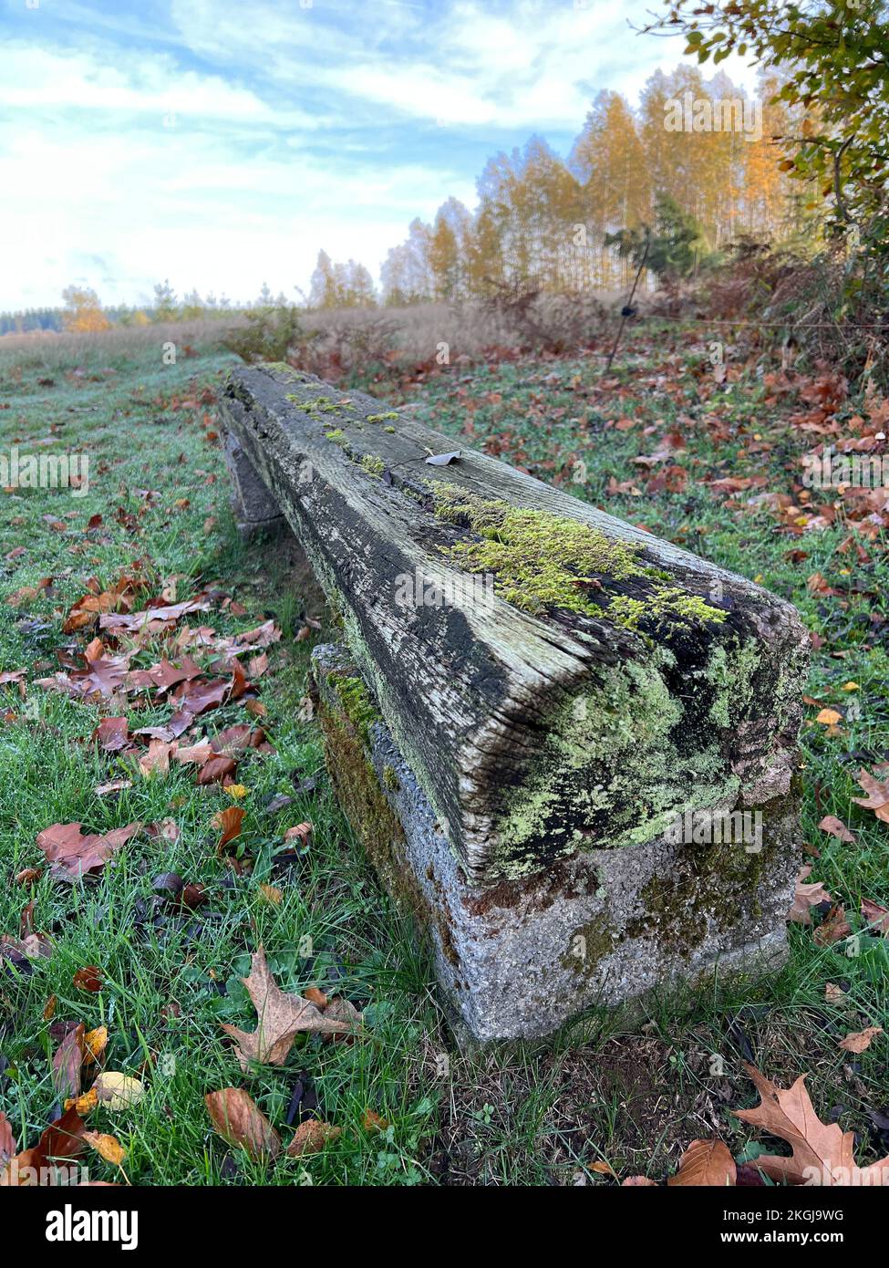 A vertical low wide angle of a moss overgrown sitting bench on the ...