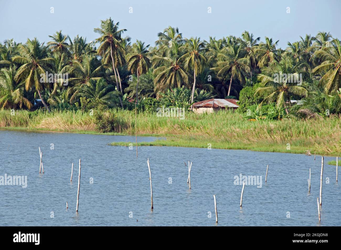View of Lake Aheme, Benin. Lake Aheme is a Voodou Centre in Benin, but ...